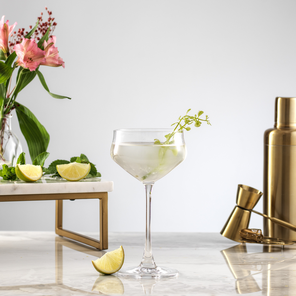 Types of Cocktail Glasses | JoyJolt Glassware